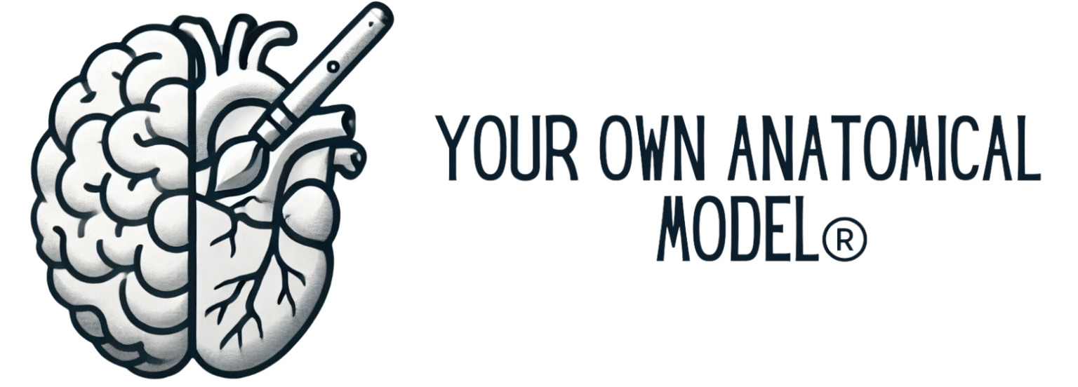 Inicio - Your Own Anatomical Model