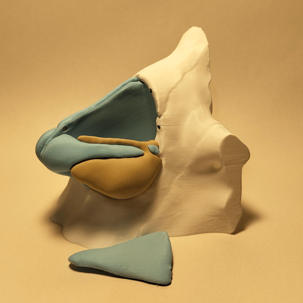 La Nariz – Your Own Anatomical Model